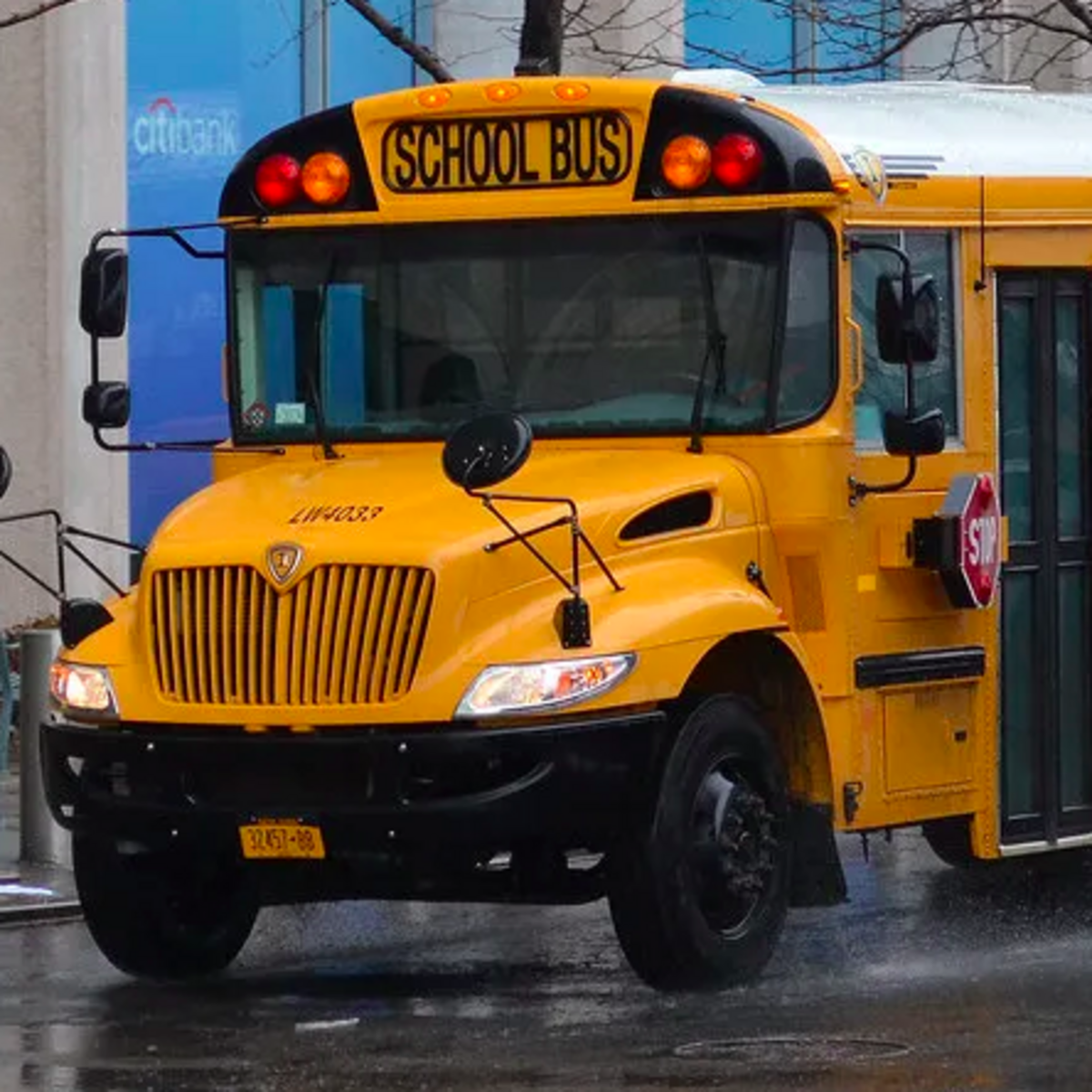 STEVE ANALYST PORTFOLIO